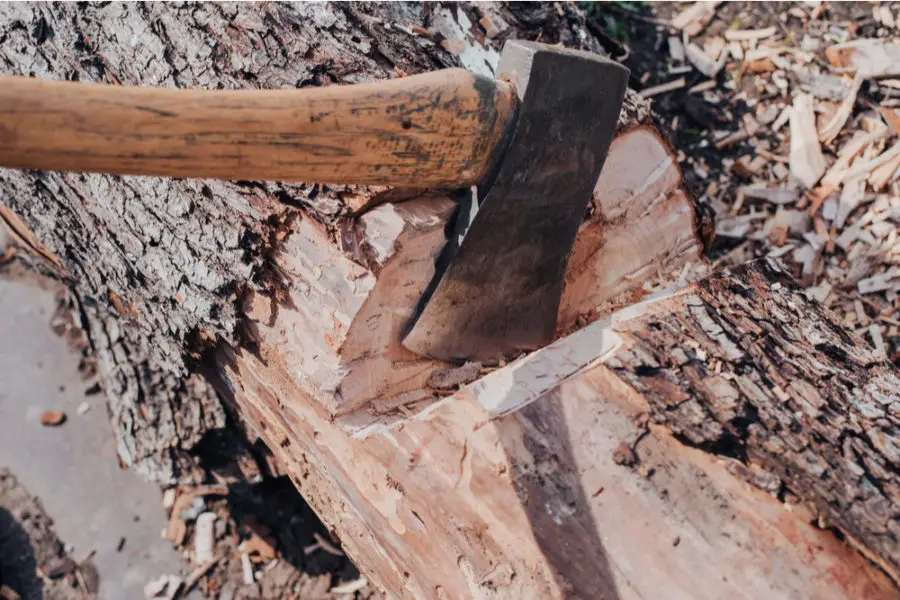 5 Best Felling Axes To Quickly And Easily Chop Down Trees